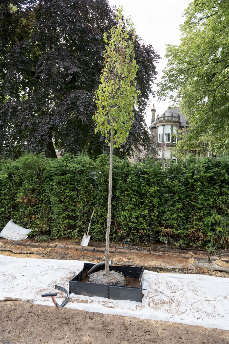 North Yorkshire’s first TreeParker® Urban Tree Planting System Installation declared a success.